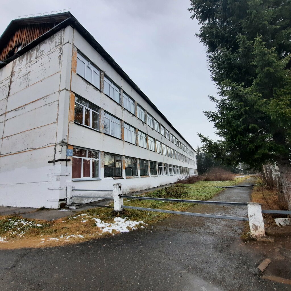 Ortaokul Краснокаменская средняя общеобразовательная школа № 4, Krasnoyarski krayı, foto