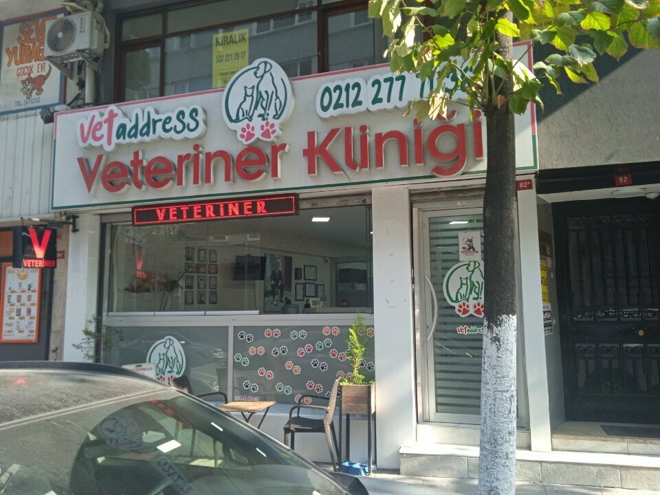 Veteriner klinikleri Vetaddress Veteriner Kliniği, İstanbul, foto