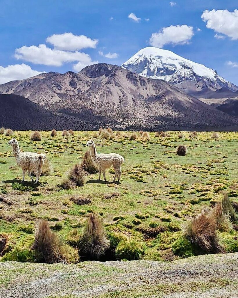Seyahat acenteleri Kimza Travel Tour Operator, La Paz, foto