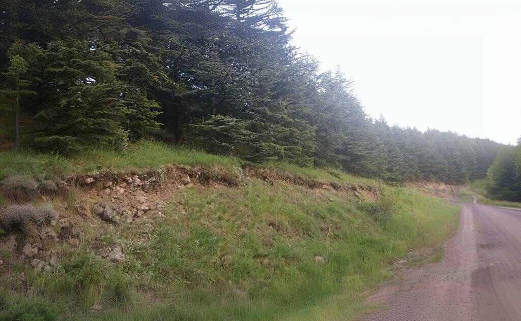 Kültür ve eğlence parkları Şehit İdris Uzun Parkı, Ankara, foto