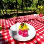 Uzundere Kahvaltı & Piknik (İstanbul, Çatalca, Gökçeali Cad., 266), kafe  Çatalca'dan