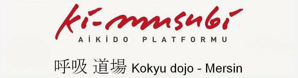 Spor kulüpleri Ki-Musubi Aikido Platformu, Mersin, foto
