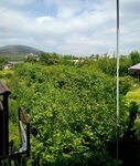 Balcı Gıda (Mersin, Silifke, Sayağzı Mah., 453. Sok., 25), mini-market  Silifke'den