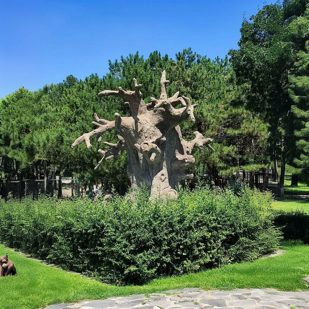 Piknik alanı Beştepeler Mesire Alanı Piknik Alanı, Kayseri, foto