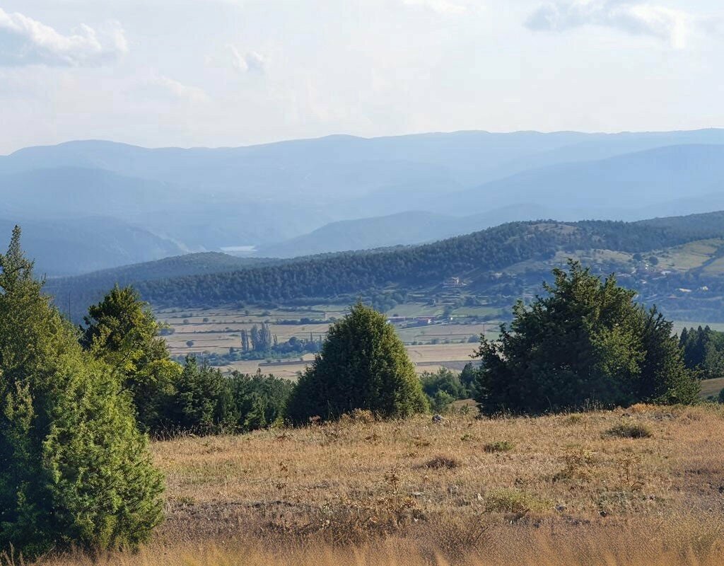 Muhtarlıklar Yenikayalı Köy Muhtarlığı, Boyabat, foto