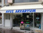 Yavuz Akvaryum (Antalya, Serik, Orta Mah., 1049. Sok., 28/1), petshop  Serik'ten