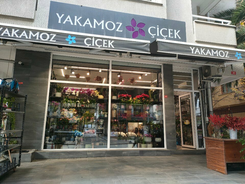 Çiçekçiler Yakamoz Çiçekçilik, İstanbul, foto