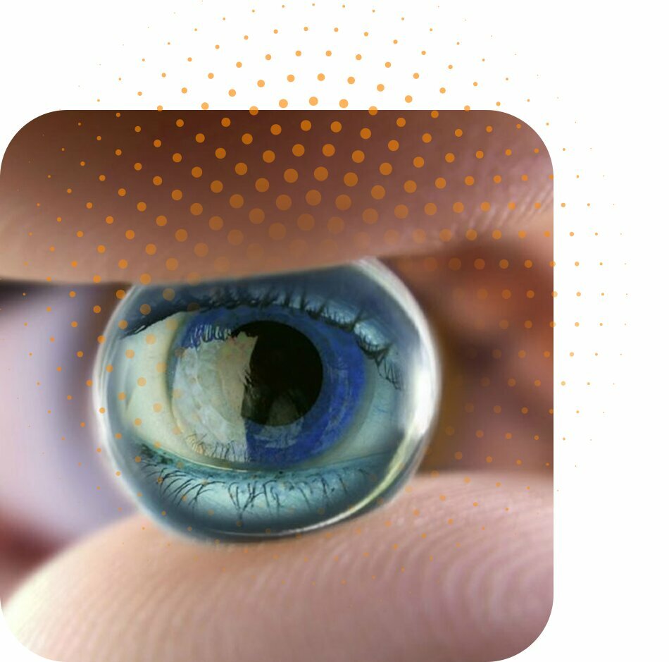 Otomobil satış galerileri Altınçekiç Otomotiv, Arifiye, foto