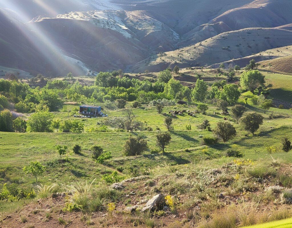 Muhtarlıklar Taşbulak Köy Muhtarlığı, Kemah, foto
