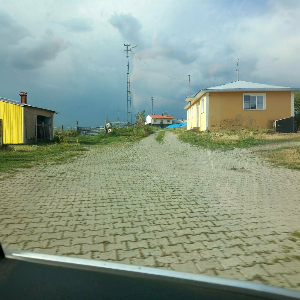 Muhtarlıklar Oluklu Köy Muhtarlığı, Selim, foto