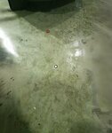 Encar Hyundaı & Kıa Özel Servis (Kocaeli, İzmit, Sanayi Mah., İzmit Sanayi Sitesi 8. Cad., 8), otomobil servisi  İzmit'ten