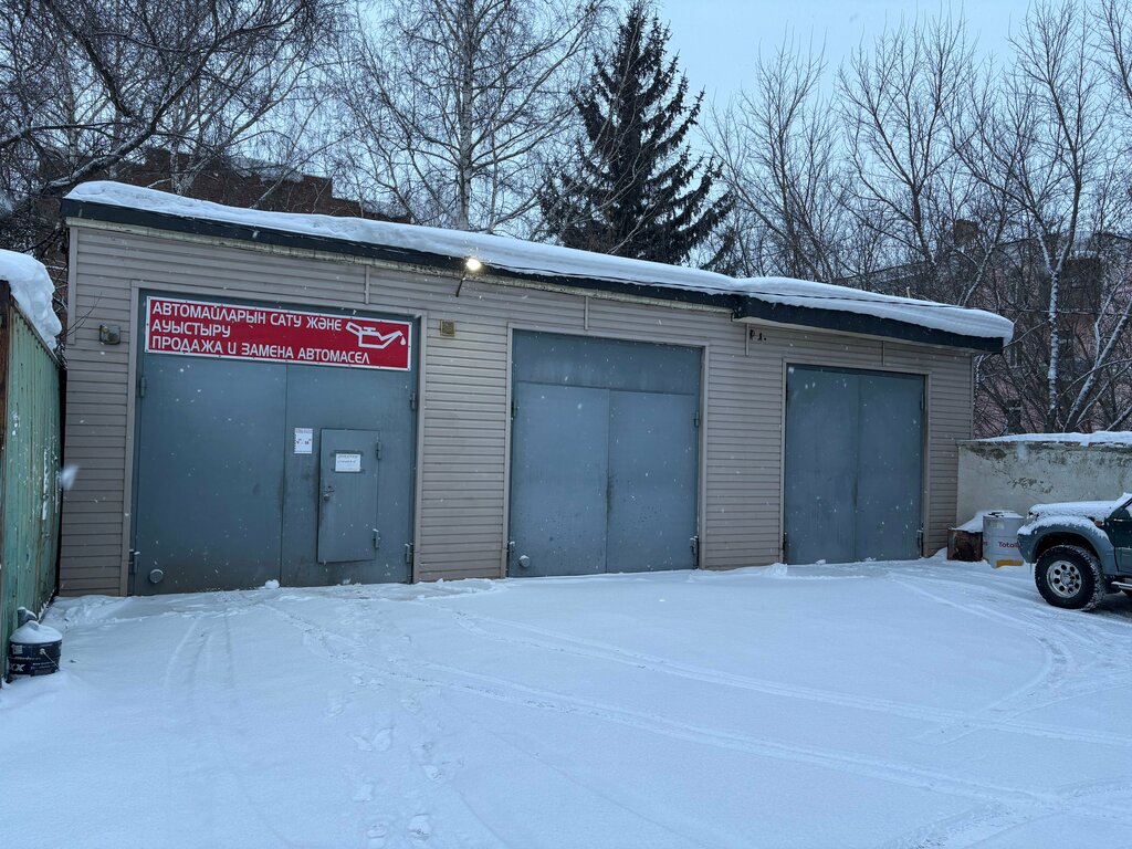 Otomobil servisi Sale and replacement of automotive oils, Ridder, foto