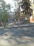 Köşk (Molla Vəli Vidadi küçəsi No:7), market  Mingeçevir'den