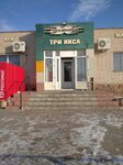 Three X's (Ledovskıı kóshesi No:39/1), market  Pavlodar'dan