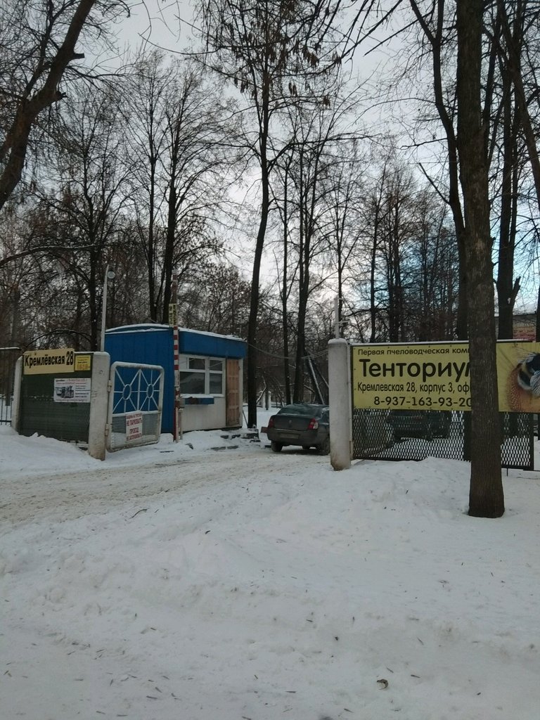 Nakış hizmetleri Art Cvet Plyus, Ufa, foto