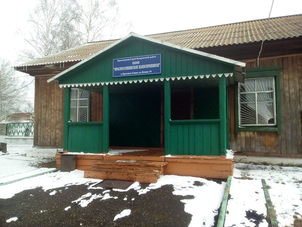Silo Красносопкинское хлебоприемное, Krasnoyarski krayı, foto