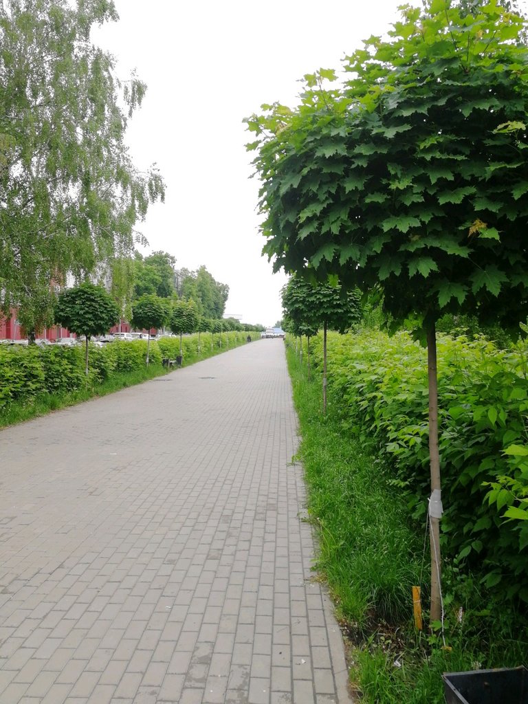 Meydan Аллея архитекторов, Voronej, foto