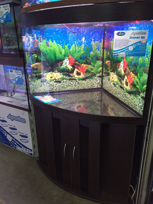 Akvaryumlar Aquabiodesign, Moskova, foto