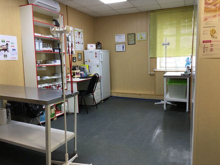 Veteriner klinikleri Veterinary zoocentr, Viazniki, foto