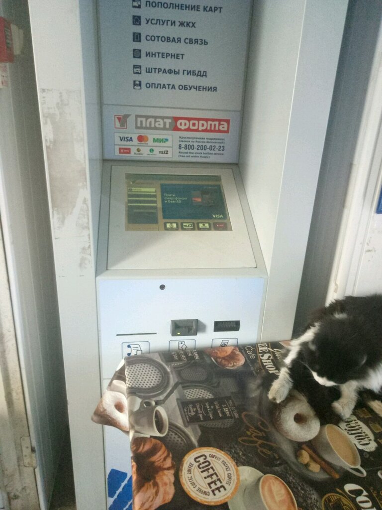 Ödeme terminali Sdm-bank, terminal, Nijni Novgorod, foto