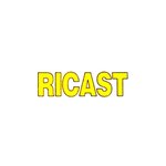 Ricast (Venice, province of Padua, Ponte San Nicolò, Via Antonio Norbiato, 128), sanayi ekipmanları firmaları  Dünya'dan