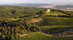 Impresa Edile Martelli (Tuscany, Provincia di Siena, Piazza Cavour, 6), i̇nşaat firmaları  Toskana'dan