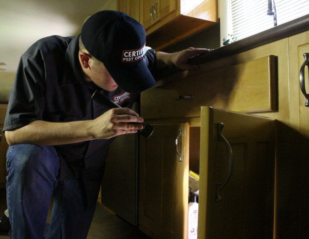 Haşere ilaçlama firmaları Certified Pest Control, Nashville, foto