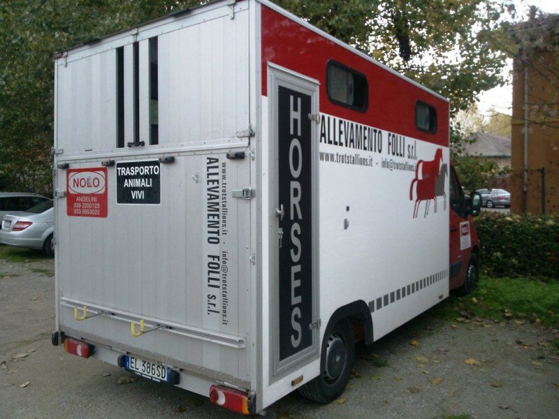 Oto kiralama Angelini Roberto Trasporti e Allestimenti, Emilia‑Romagna, foto