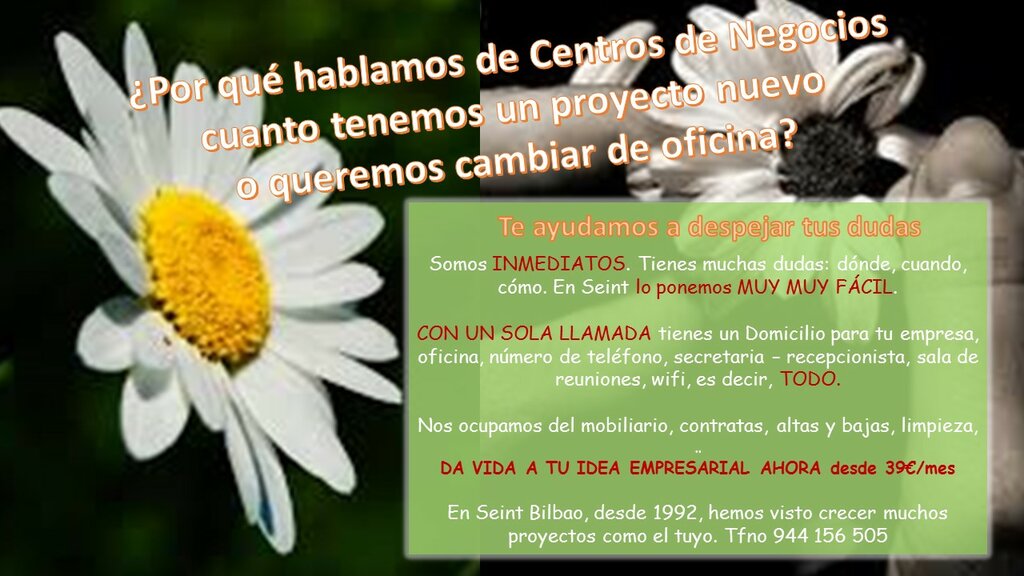 Konferans ve seminer düzenleyen firmalar Seint Centro De Negocios, Bilbao, foto