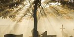 Onoranze Funebri Ronca (Lazio, Roma, Castel Gandolfo, Albano Laziale), cenaze hizmetleri  Lazio'dan