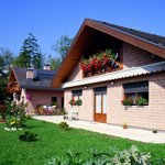Belwood by Atena (Venice, Belluno, Via de Gasperi, 3), i̇nşaat malzemeleri toptan  İtalya'dan
