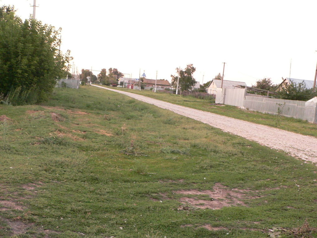 Evcil hayvan yetiştiricileri Kennel of Dog Buzburi Idel, Samarskaya oblastı, foto