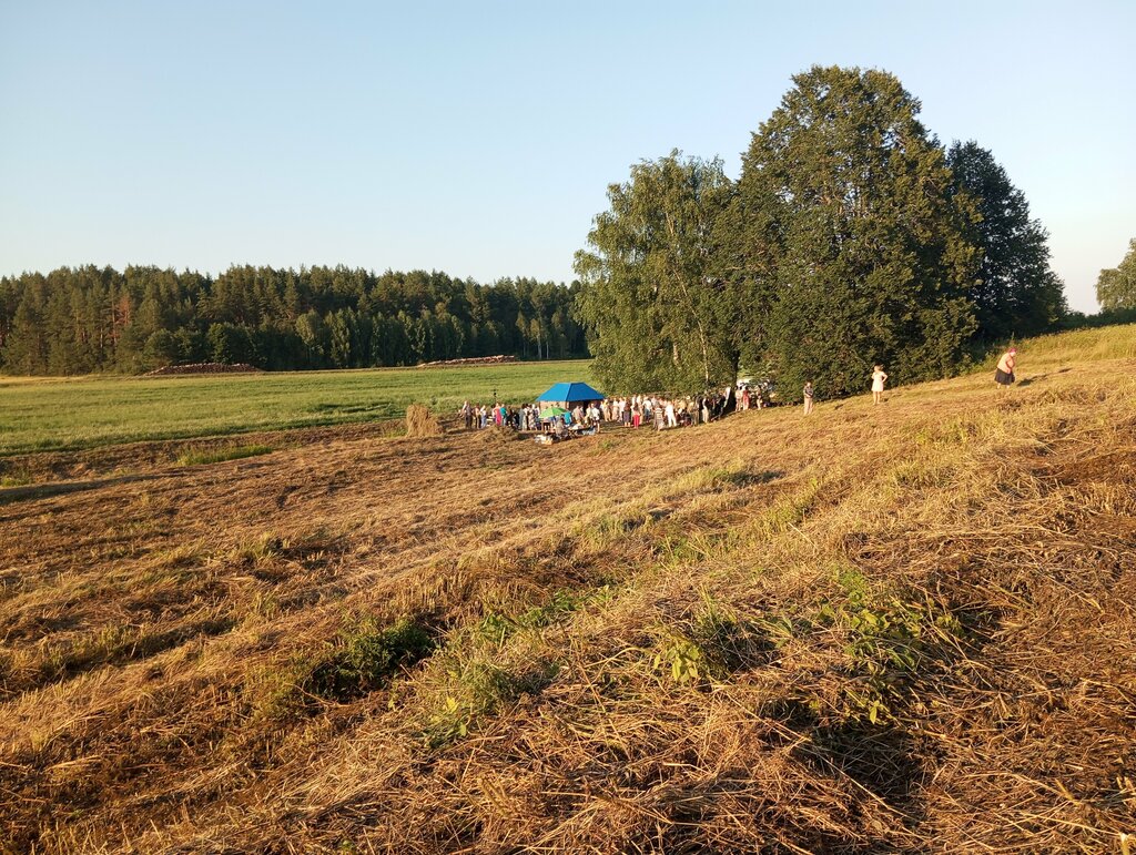 Pınar, çay Spring, stream, Vitebskaya oblastı, foto