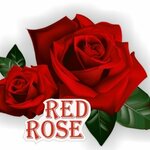 Red_Rose_nf (ploshchad Svobody No:2к1), çiçekçiler  Naro‑Fominsk'ten