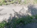 Мебель от Рязанова (Naberezhnaya ulitsa No:9/1), özel mobilya yapımı  Blagoveshchensk'ten