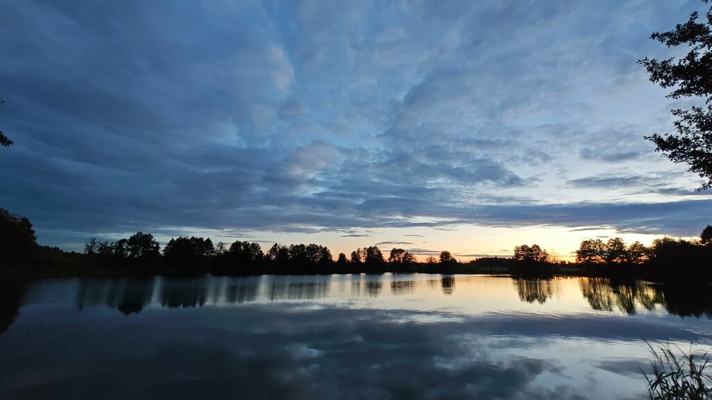 Doğa koruma alanı Mitrokhin Ugol Natural Monument, Lipetskaya oblastı, foto
