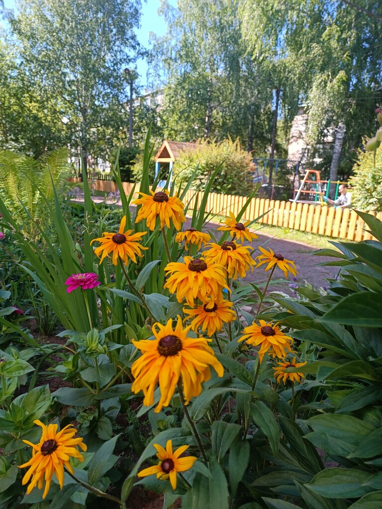 Anaokulları Detsky sad kombinirovannogo vida Romashka pgt. Orichi Mdoku, Kirovskaya oblastı, foto