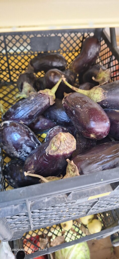 Market Tumar, Kostanay eyaleti, foto