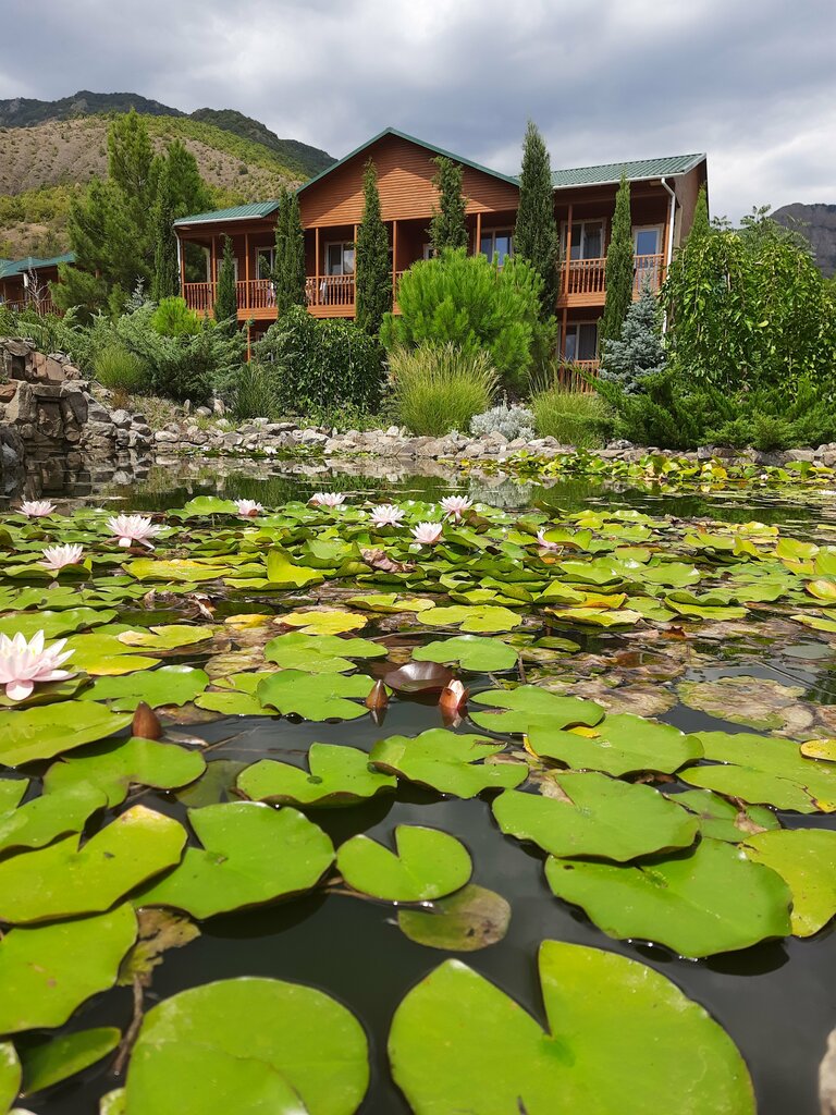 Sağlık merkezleri Educational and Health-improving Ethnocultural Eenter Svetoch, Kırım Cumhuriyeti, foto