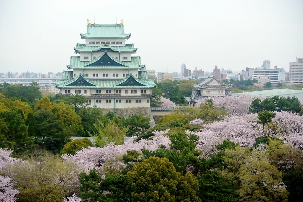 Otel Nagoya Castle, Nagoya, foto
