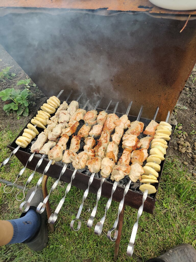 Bahçecilik dernekleri ve kuruluşları СНТ Санчелеево-13, Samarskaya oblastı, foto