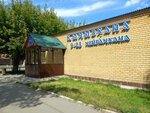 Kymyzkhana (Ïnternacïonal street No:23В), kafe  Semey'den