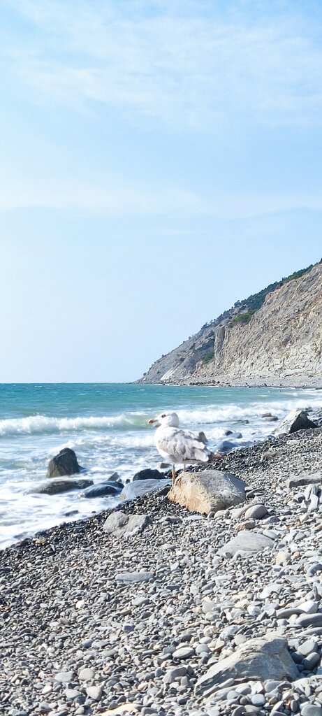 Plaj Пляж, Krasnodarski krayı, foto