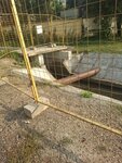 Канализационная насосная станция № 5 Форты (Dambrowskaga Street No:4), mühendislik altyapısı  Grodno'dan