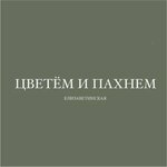 Цветём и пахнем (Stepnaya ulitsa No:204, stanitsa Yelizavetinskaya), çiçekçiler  Krasnodarski krayından
