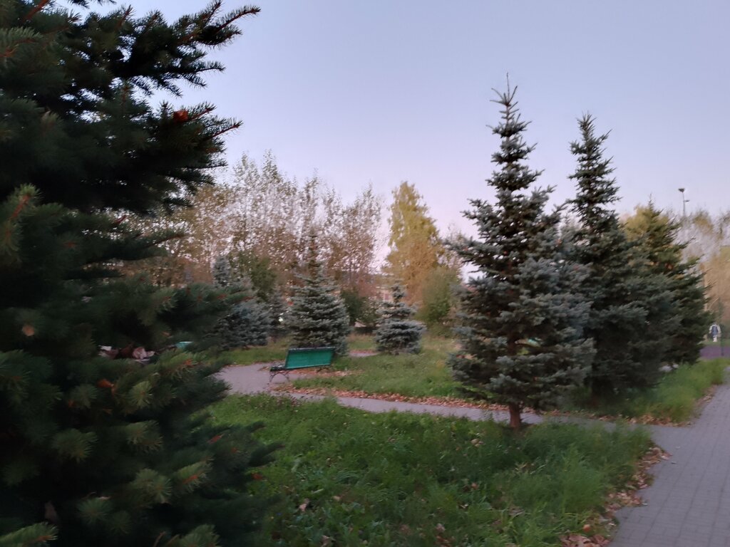 Kültür ve eğlence parkları парк Нефтяников, Menzelinsk (Minzele), foto