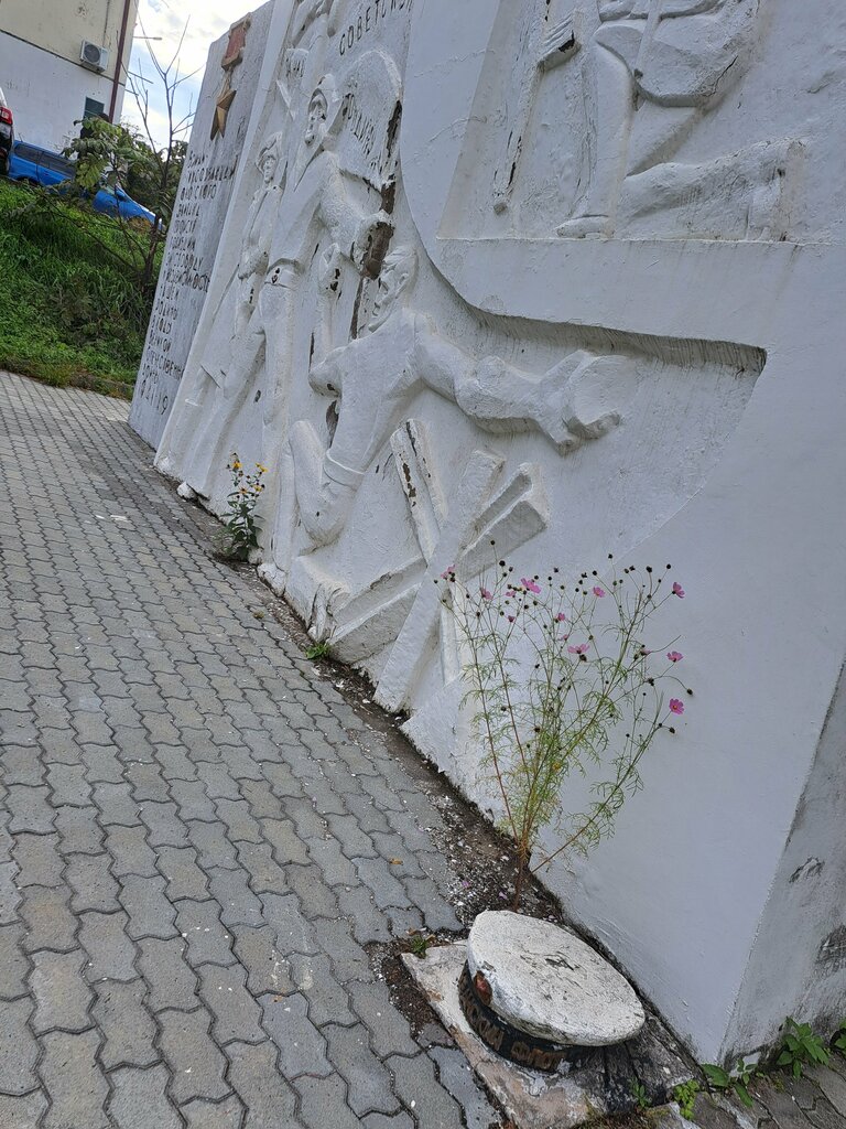 Anıt, heykel Стела воинам-тихоокеанцам, Vladivostok, foto