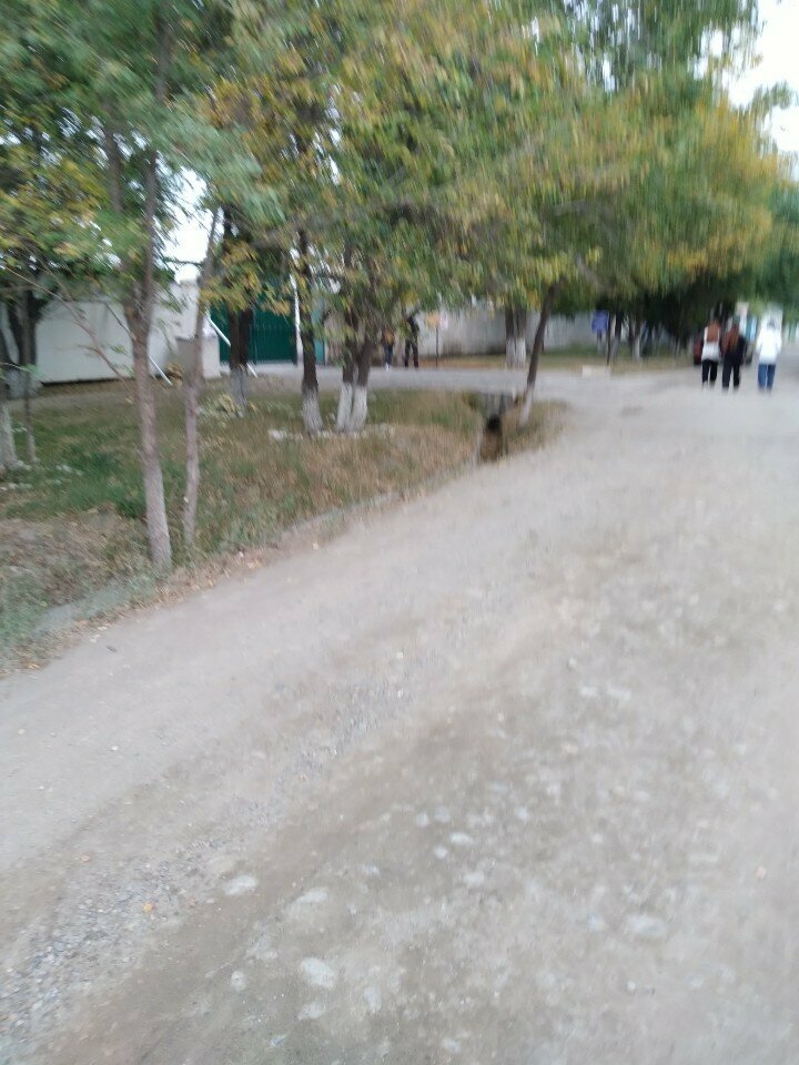 Stadyum Lukodrom, Taldıkorgan, foto