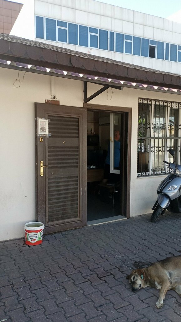 Muhtarlıklar Döşeme Mahalle Muhtarlığı, Adana, foto