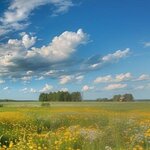 Судиславские Усадьбы (Kostroma Region, Sudislavskoye selskoye poseleniye), yazlık yerleşim  Kostromskaya oblastından